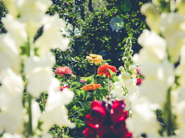 13 найкращих речей, які можна зробити в Женева - 2024