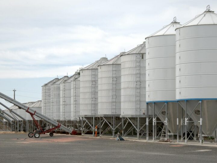 As 22 melhores coisas para fazer em Leeds - 2025 - TryTravel