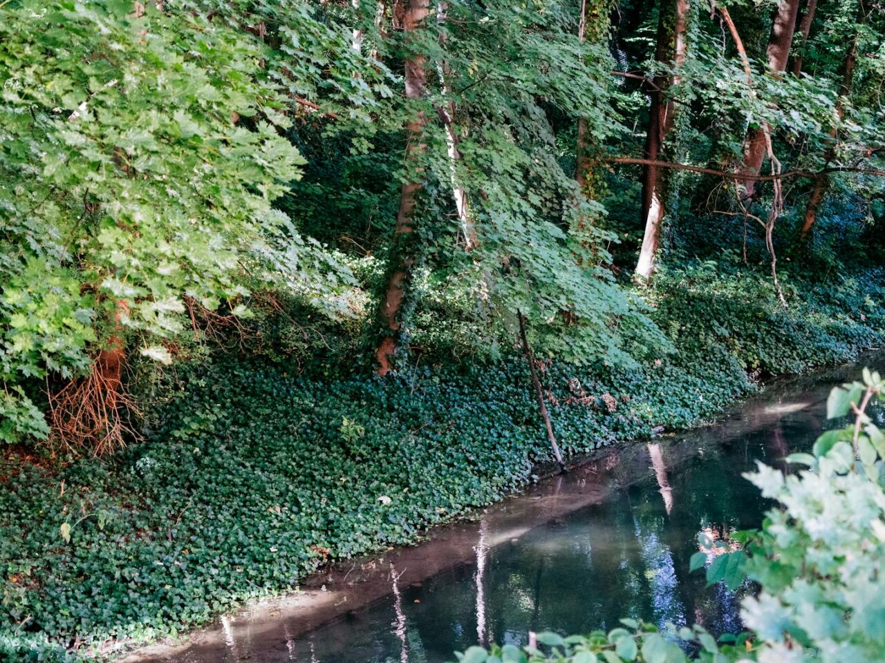 The 16 Best Things to Do in Augsburg - 2025 - TryTravel