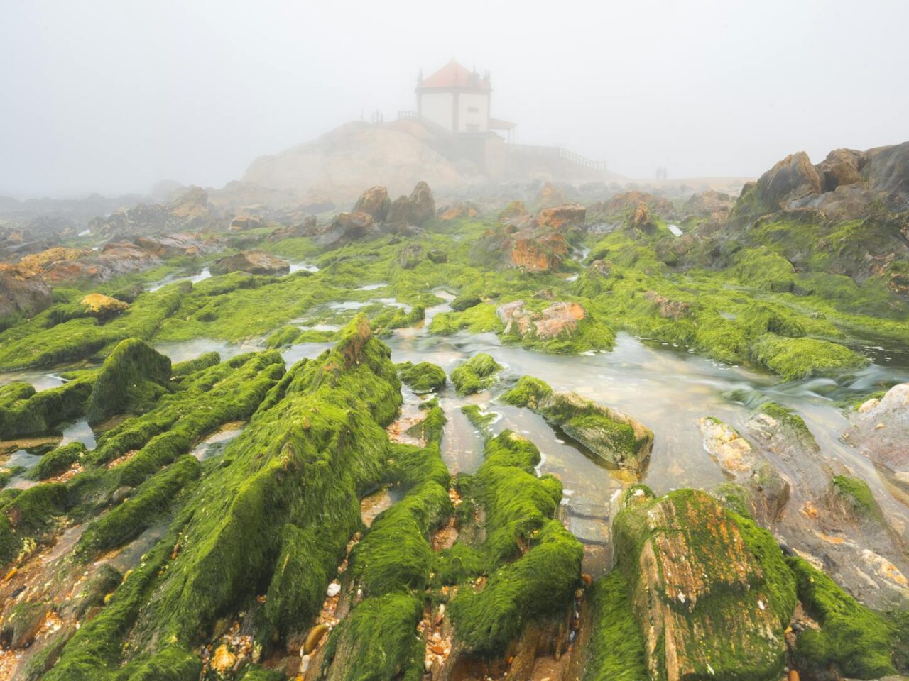 Die 13 besten Dinge, die man in Brighton und Hove tun kann - 2025 ...