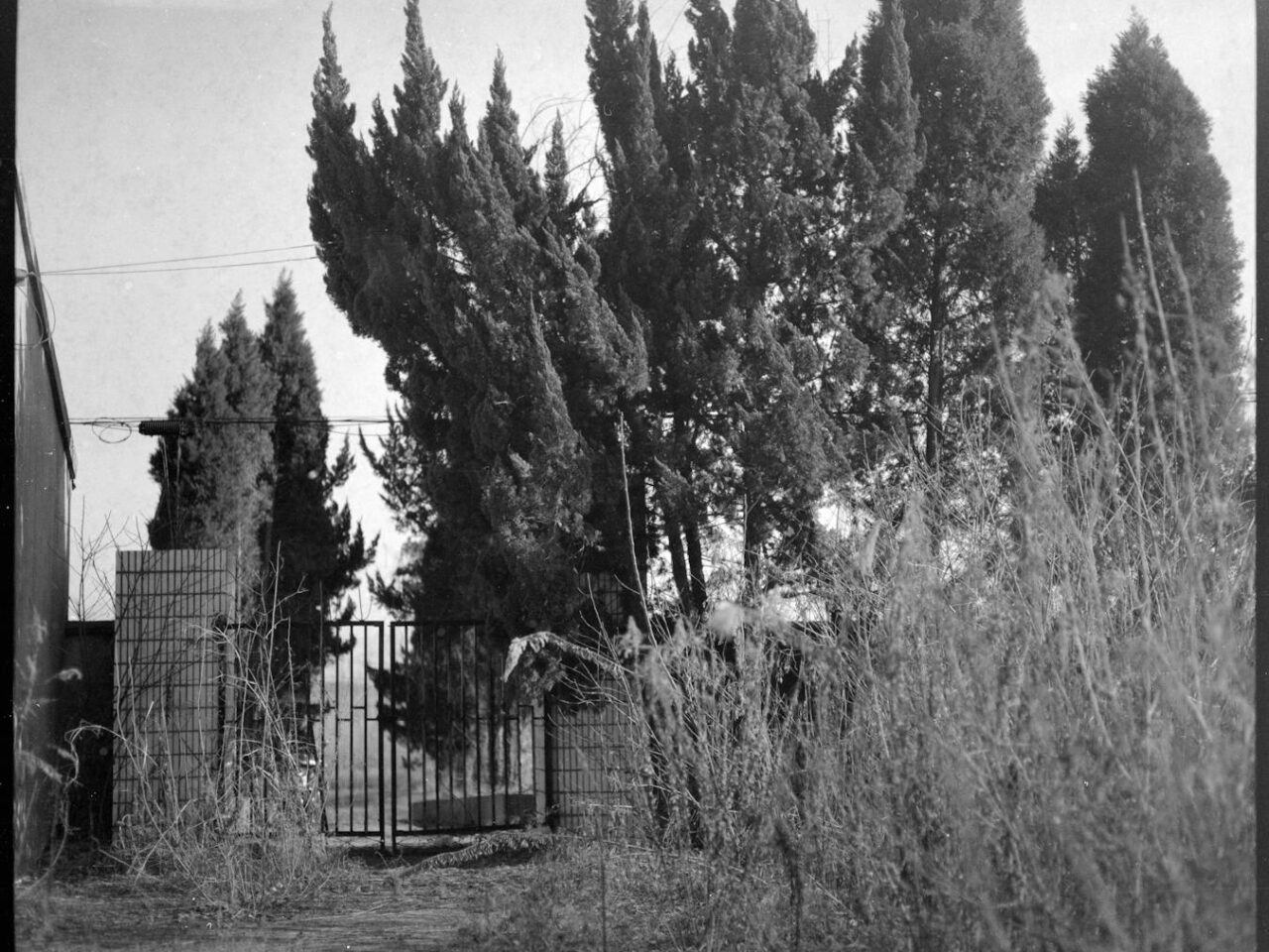 9 najlepszych rzeczy do zrobienia w Novi Sad - 2025 - TryTravel