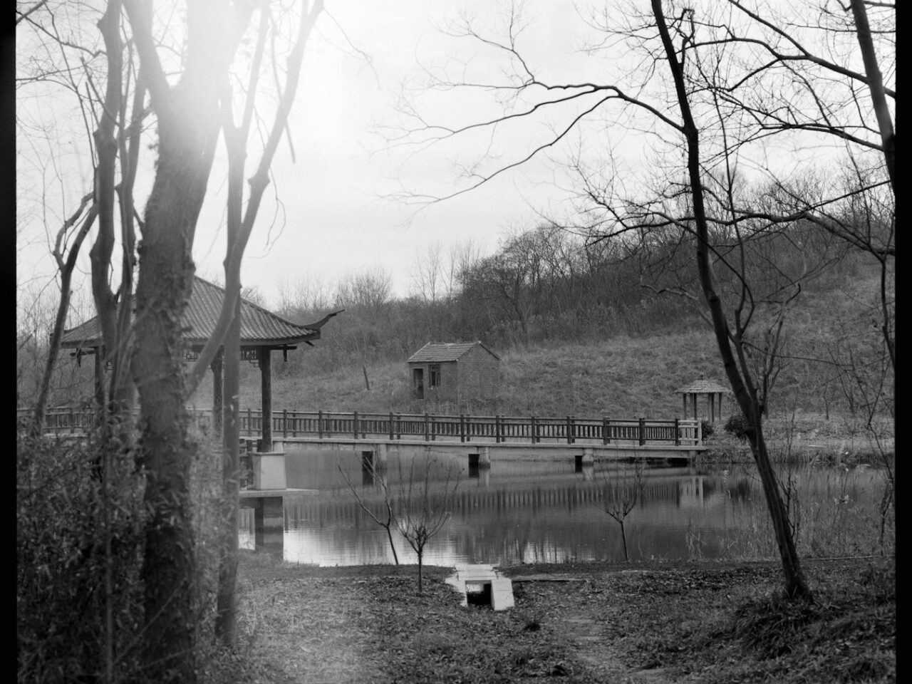 9 najlepszych rzeczy do zrobienia w Novi Sad - 2025 - TryTravel