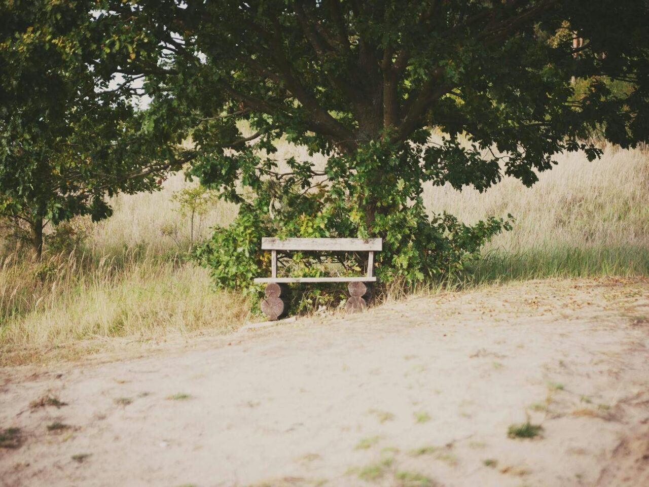 Die 8 besten Dinge, die man in Northampton tun kann - 2025 - TryTravel