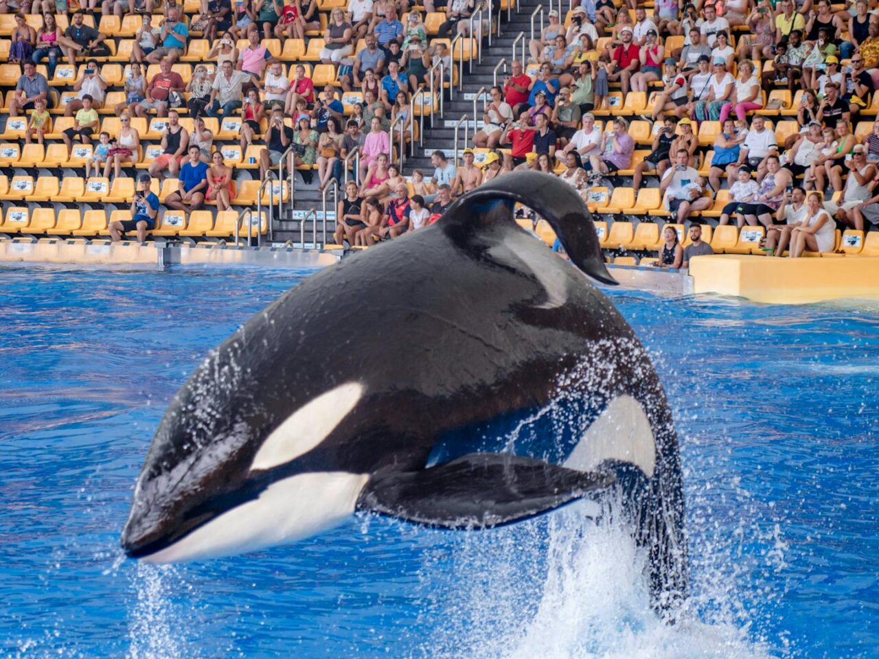 The 10 Best Things to Do in Constanța - 2025 - TryTravel