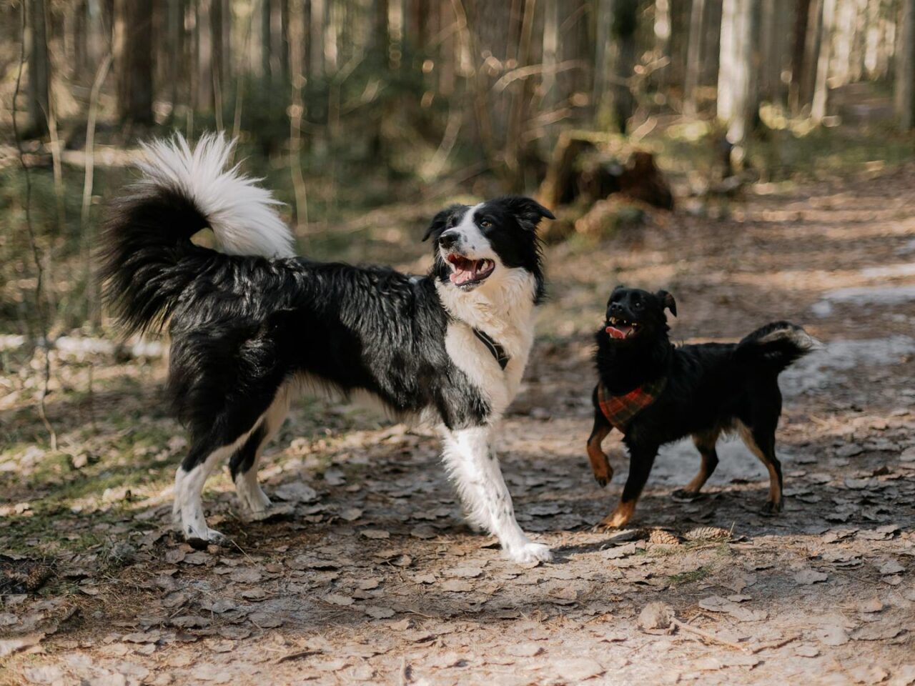 The 11 Best Things to Do in Southend on Sea - 2025 - TryTravel