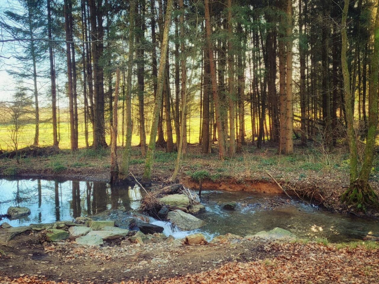 The 11 Best Things to Do in Bielsko-Biala - 2025 - TryTravel