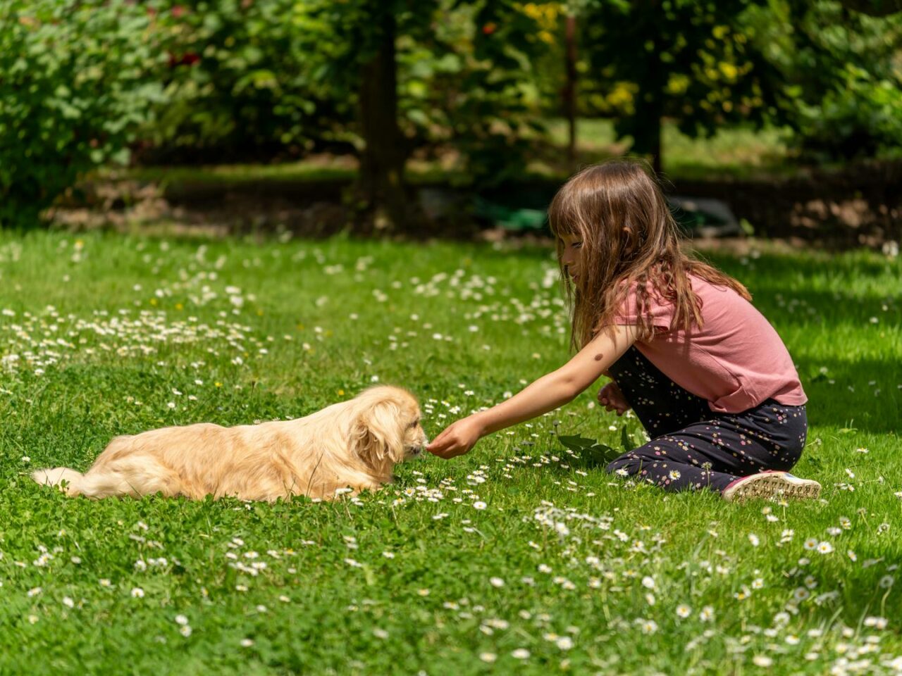 The 11 Best Things to Do in Bielsko-Biala - 2025 - TryTravel