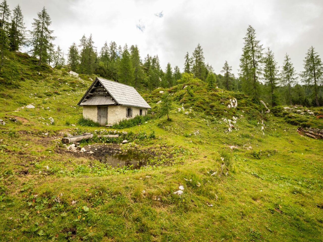 As 10 melhores coisas para fazer em Middlesbrough - 2025 - TryTravel