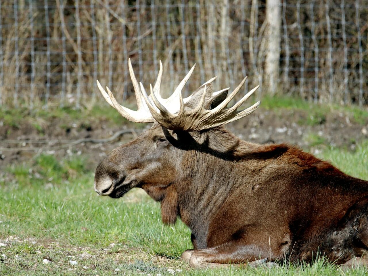 Les 22 meilleures choses à faire à Oradea - 2025 - TryTravel