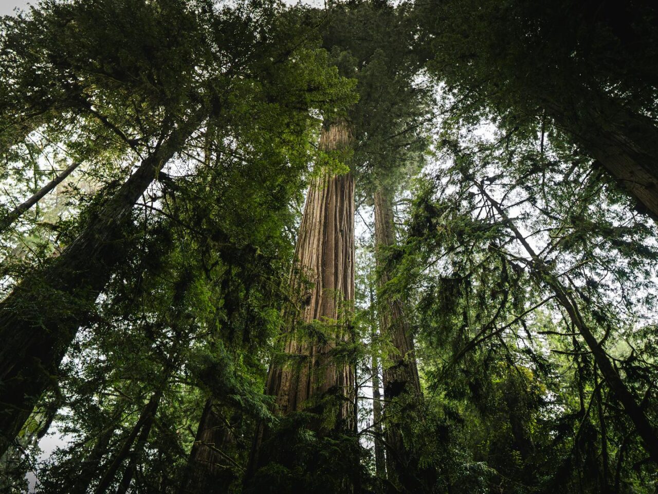 Le 12 migliori cose da fare a Patrasso - 2025 - TryTravel