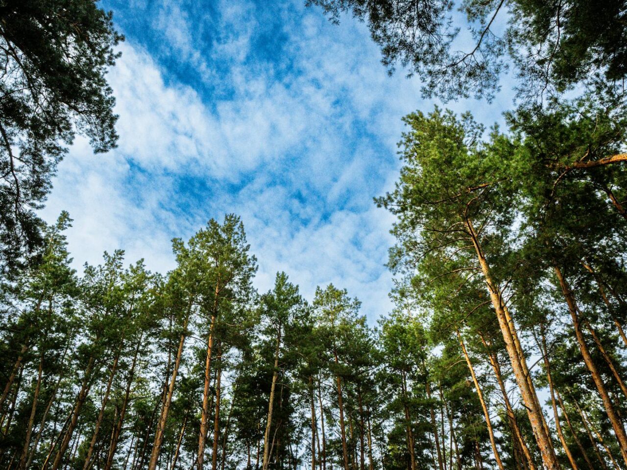 Le 12 migliori cose da fare a Patrasso - 2025 - TryTravel