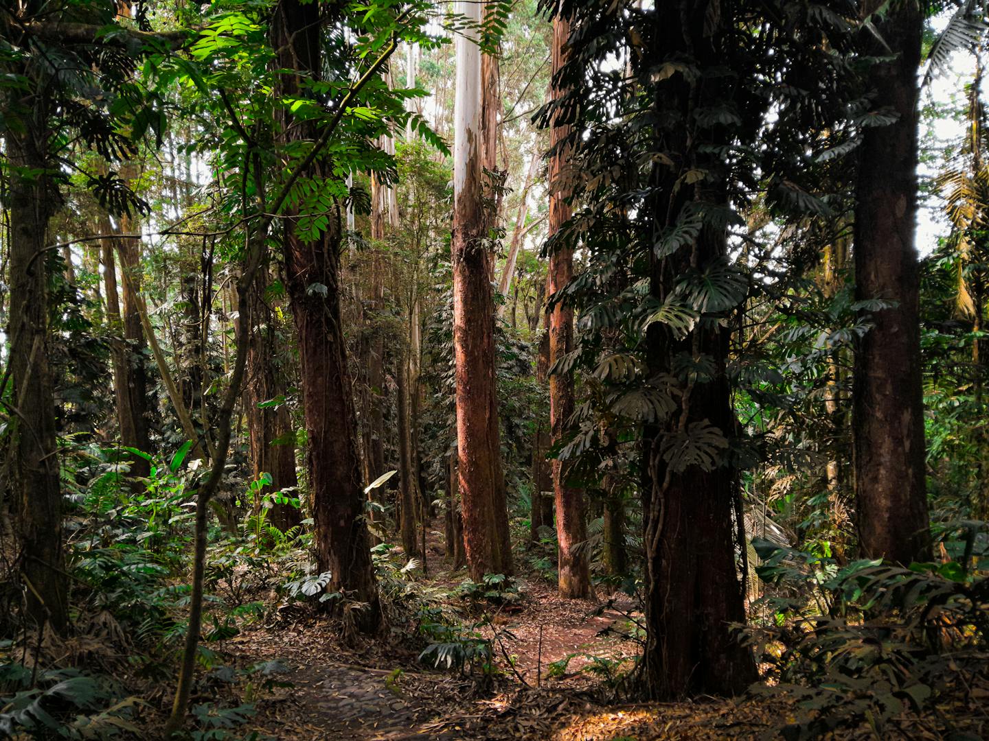 Le 12 migliori cose da fare a Patrasso - 2025 - TryTravel