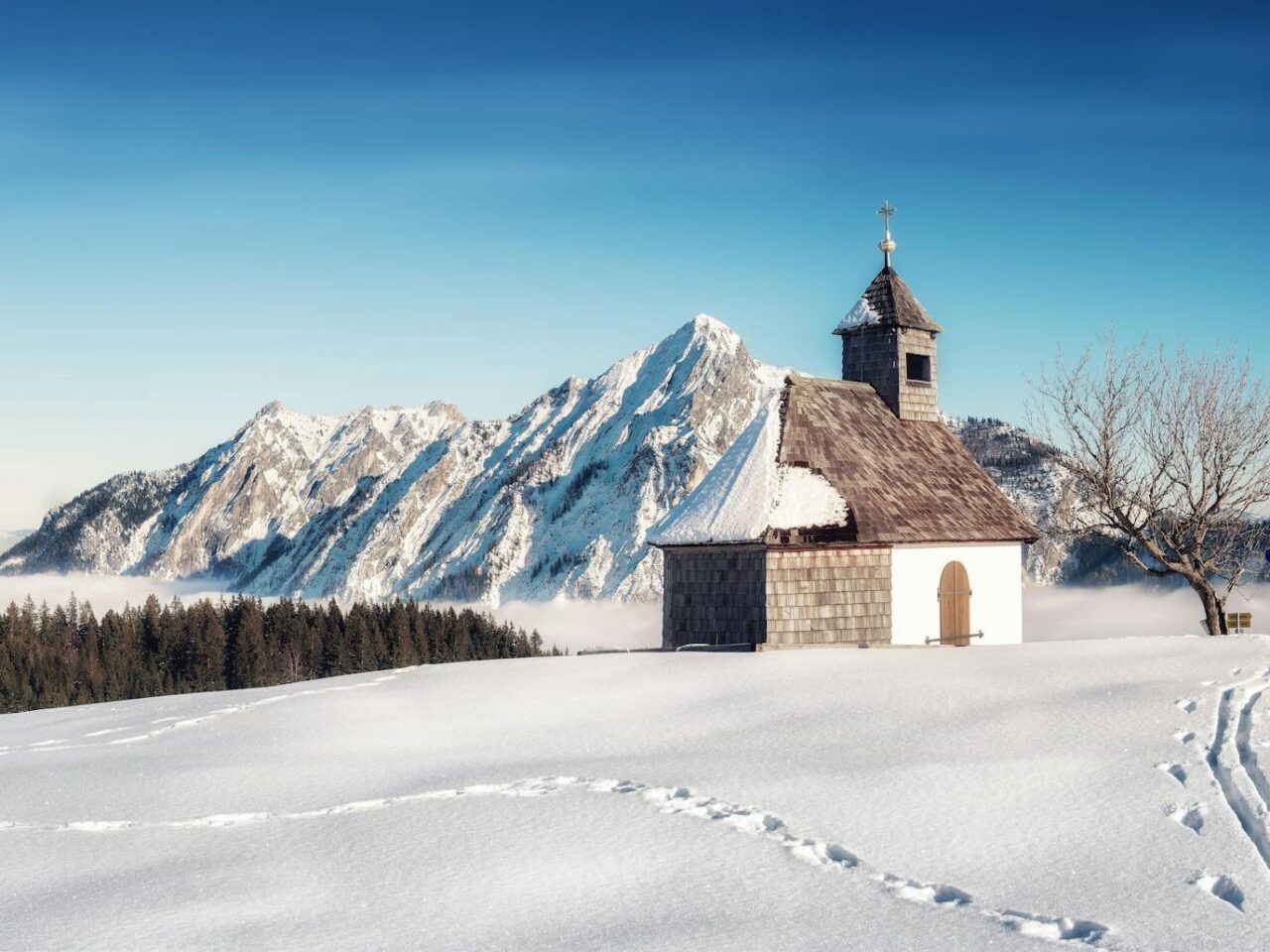 Le 6 migliori cose da fare a Hamm - 2025 - TryTravel