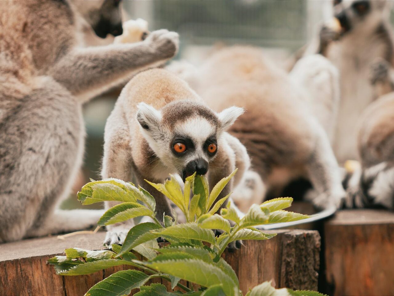 Le 6 migliori cose da fare a Hamm - 2025 - TryTravel