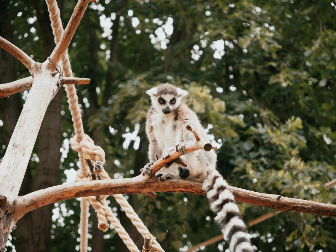 Le 6 migliori cose da fare a Hamm - 2025 - TryTravel