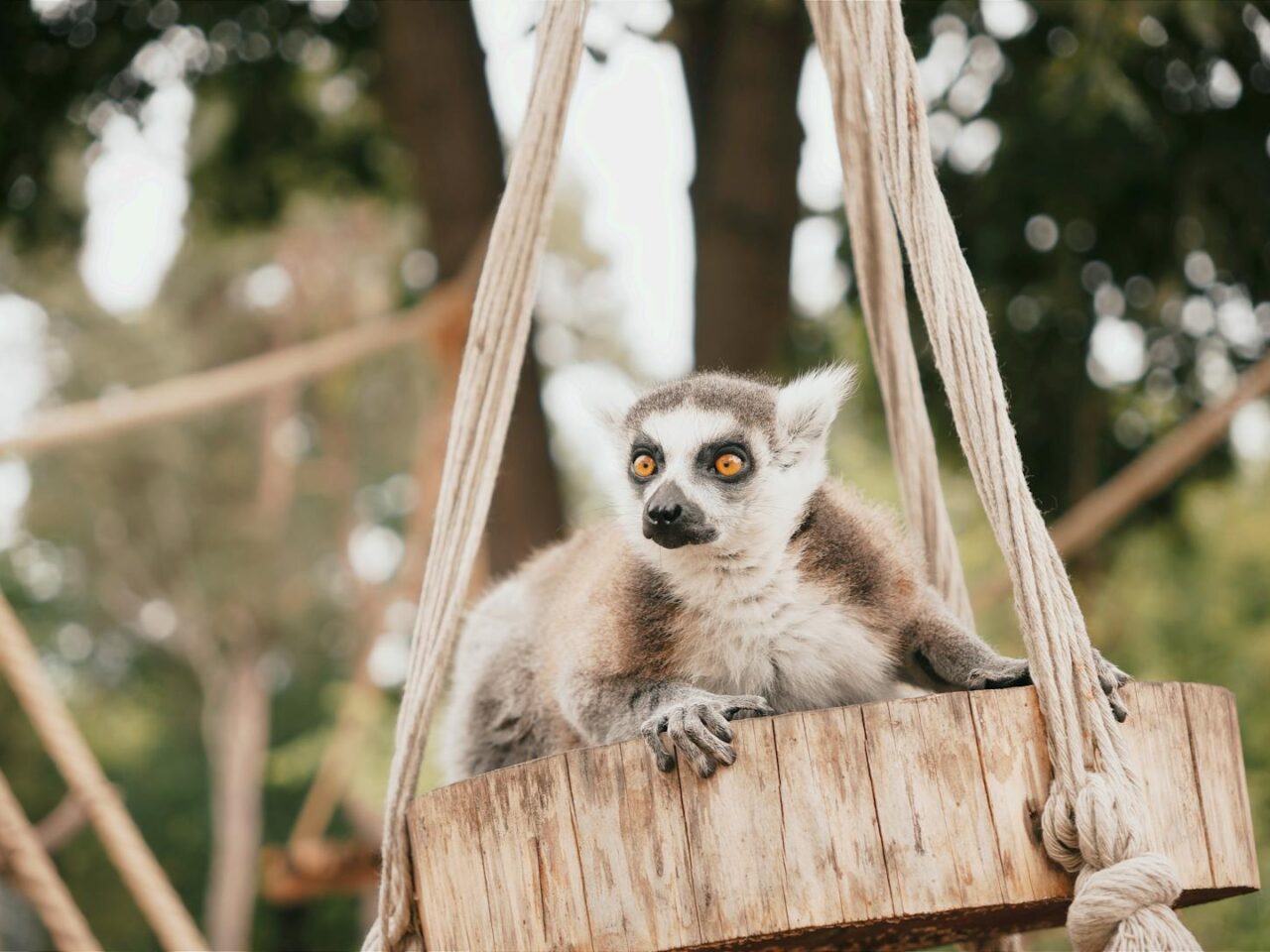 Le 6 migliori cose da fare a Hamm - 2025 - TryTravel