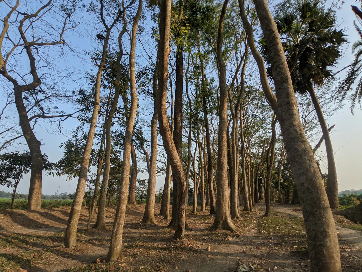 The 10 Best Things to Do in Slough - 2025 - TryTravel