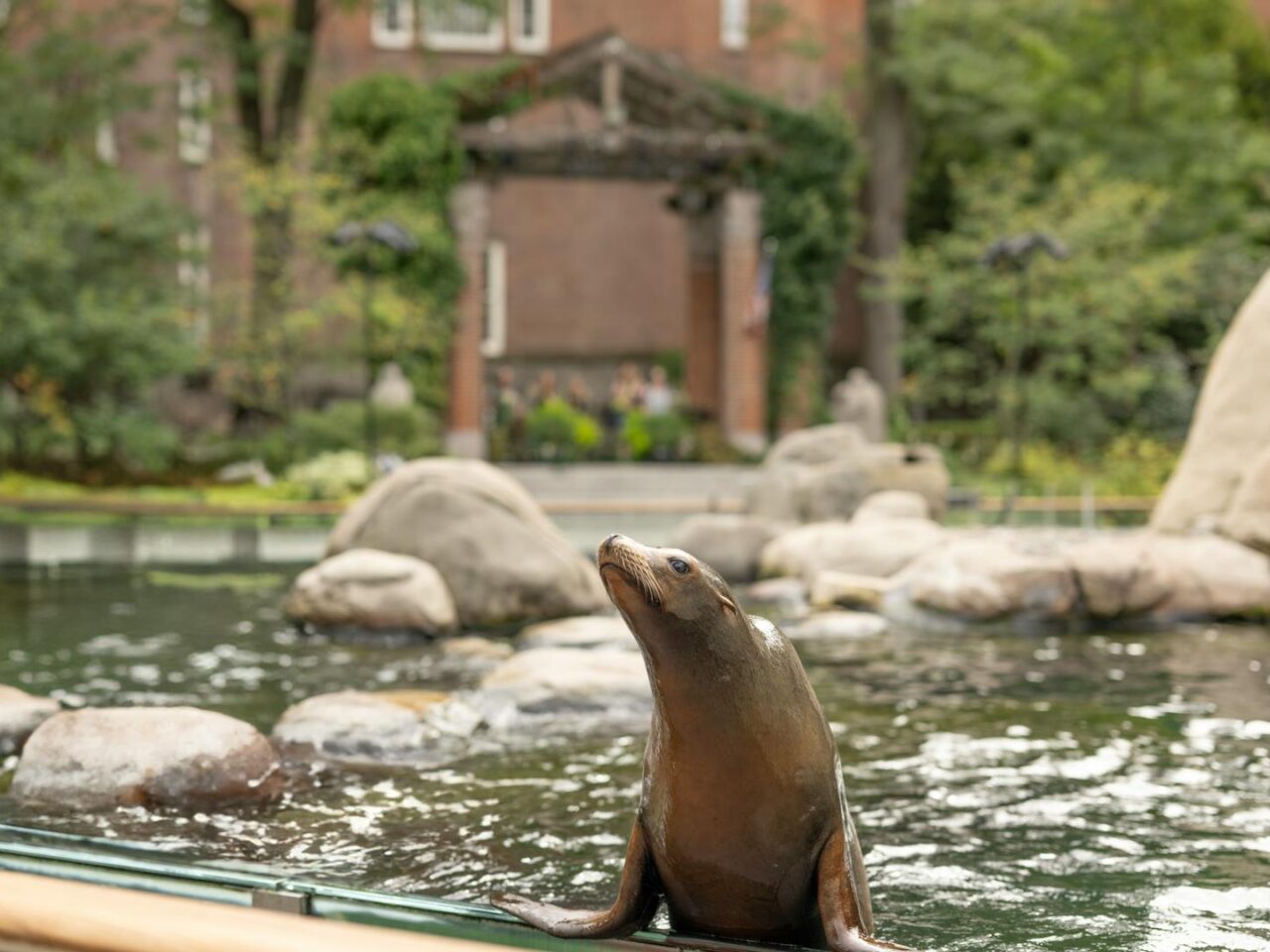 Le 7 migliori cose da fare a Solingen - 2025 - TryTravel