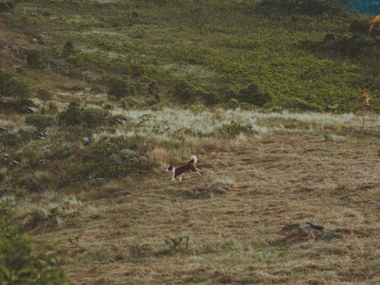 Die 10 besten Dinge, die man in Slough tun kann - 2025 - TryTravel