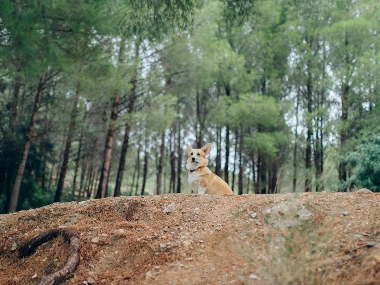 Die 10 besten Dinge, die man in Slough tun kann - 2025 - TryTravel