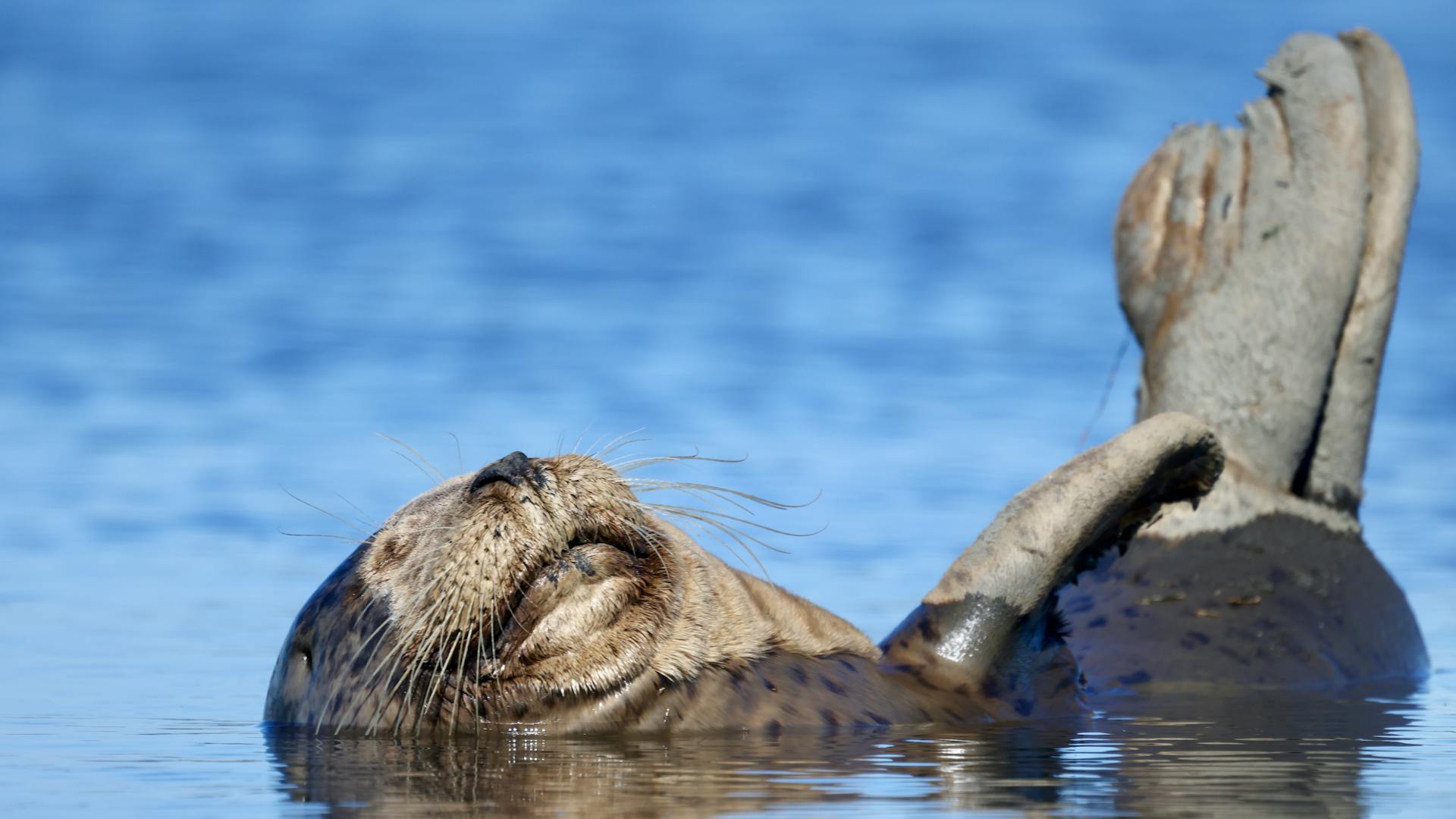 The 10 Best Things to Do in Slough - 2025 - TryTravel