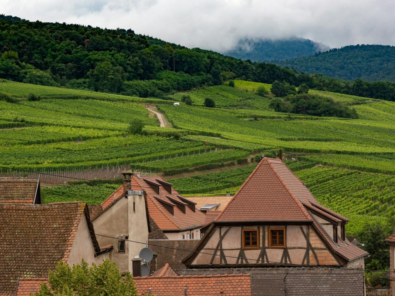 As 7 melhores coisas para fazer em Ulm - 2025 - TryTravel