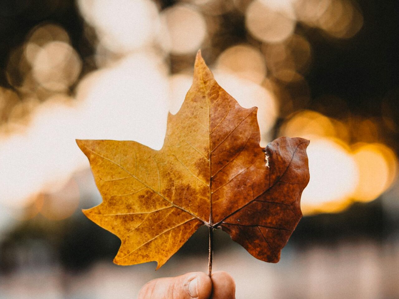 As 11 melhores coisas para fazer em Marbella - 2025 - TryTravel