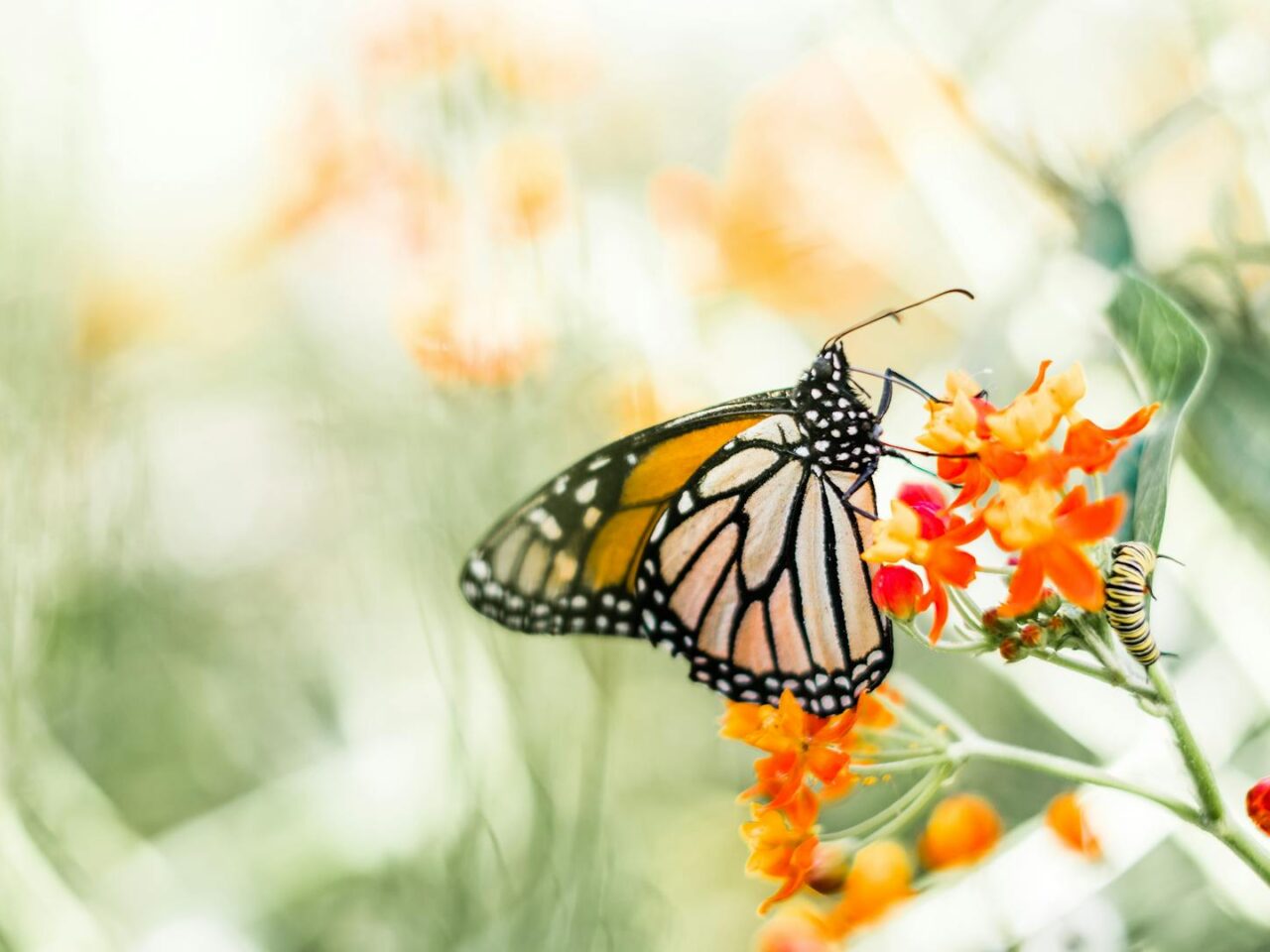 As 11 melhores coisas para fazer em Marbella - 2025 - TryTravel