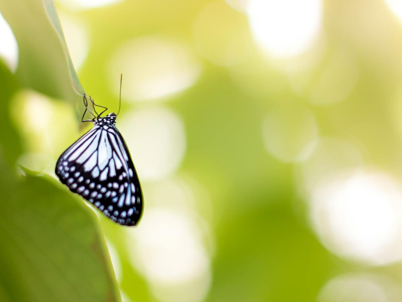 As 11 melhores coisas para fazer em Marbella - 2025 - TryTravel