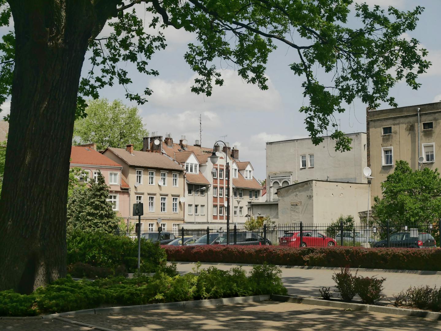 The 12 Best Things to Do in Zielona Gora - 2026 - TryTravel