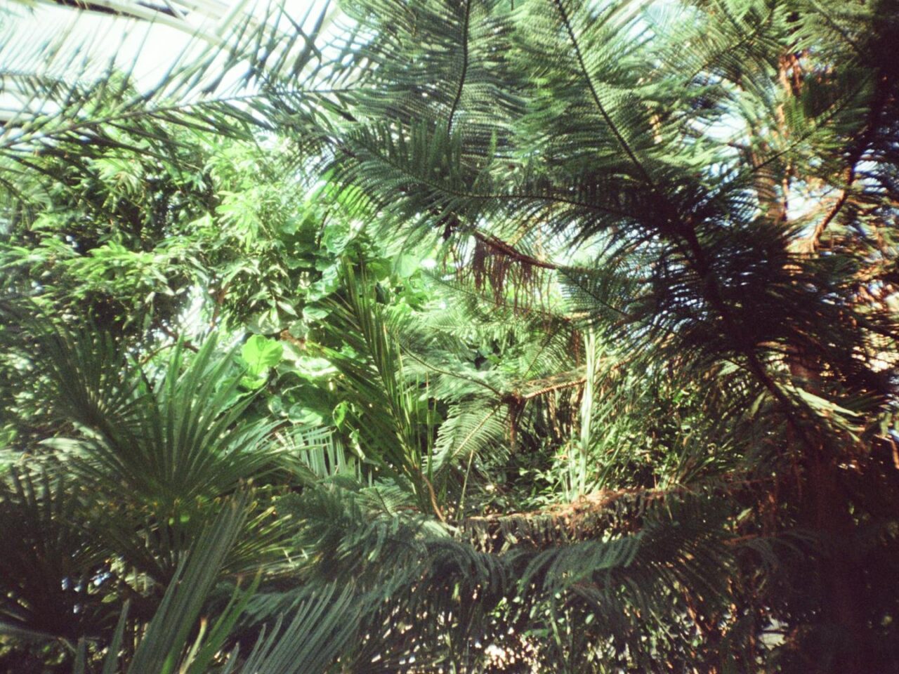 The 7 Best Things to Do in Brest - 2025 - TryTravel