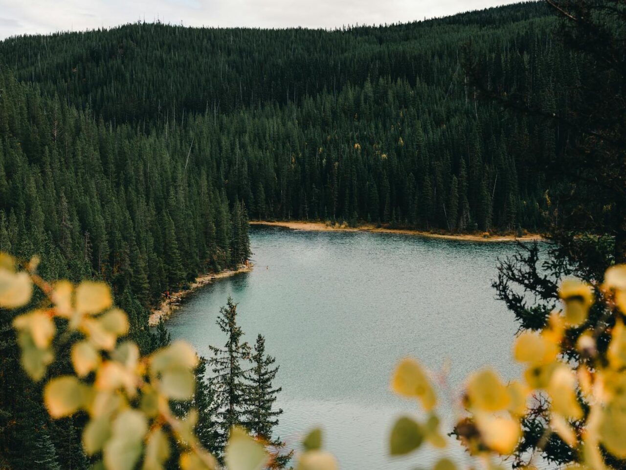 Les 6 meilleures choses à faire à Watford - 2025 - TryTravel