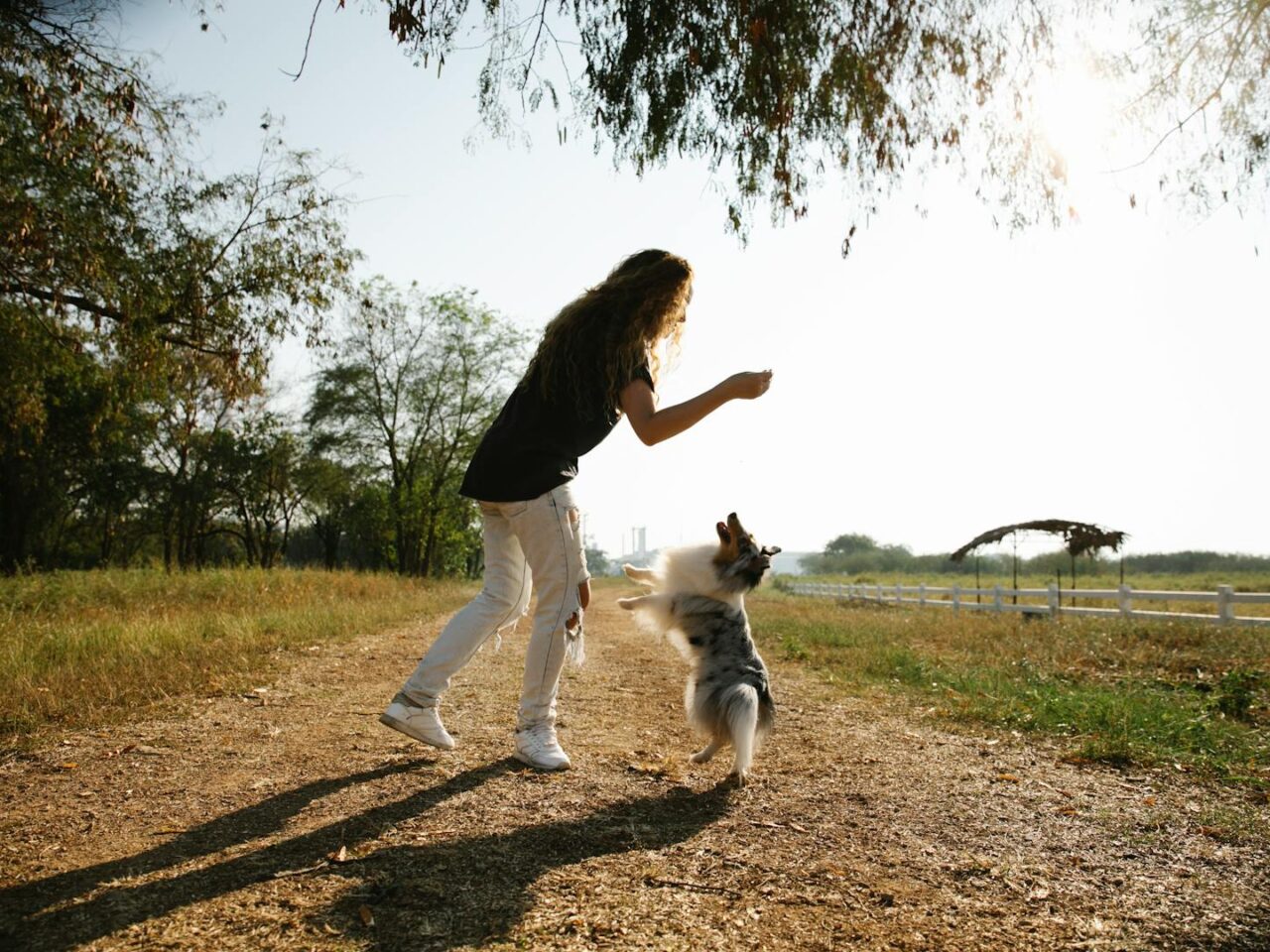 Les 6 meilleures choses à faire à Watford - 2025 - TryTravel