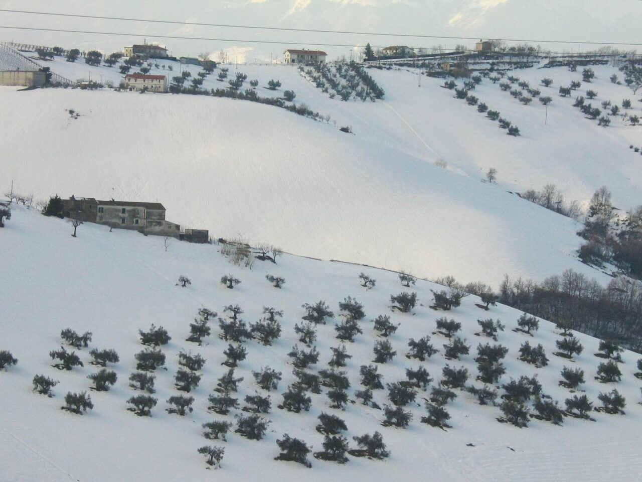 Die 16 besten Dinge, die man in Opole tun kann - 2025 - TryTravel