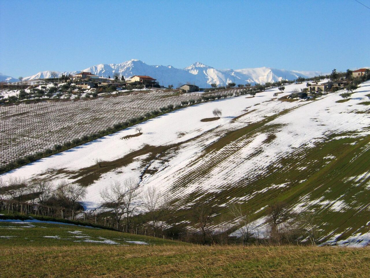 Die 16 besten Dinge, die man in Opole tun kann - 2025 - TryTravel