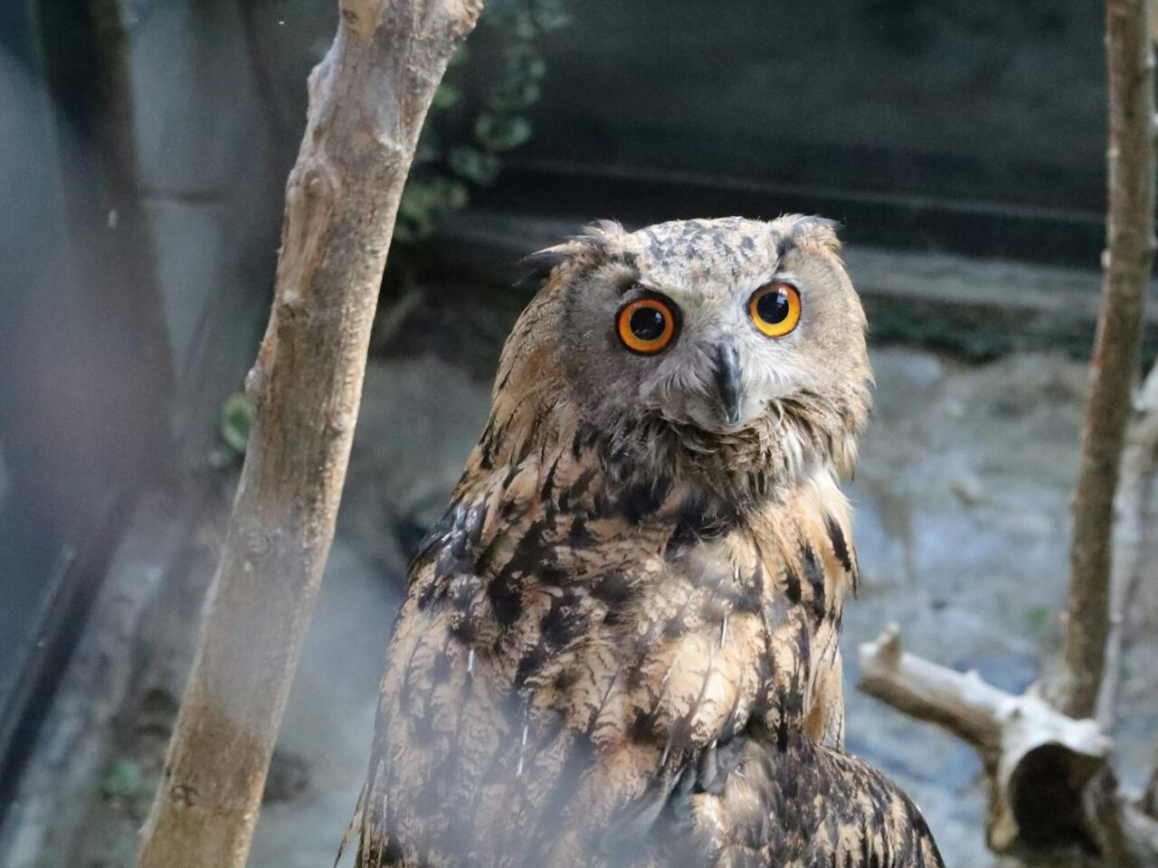 Die 16 besten Dinge, die man in Opole tun kann - 2025 - TryTravel