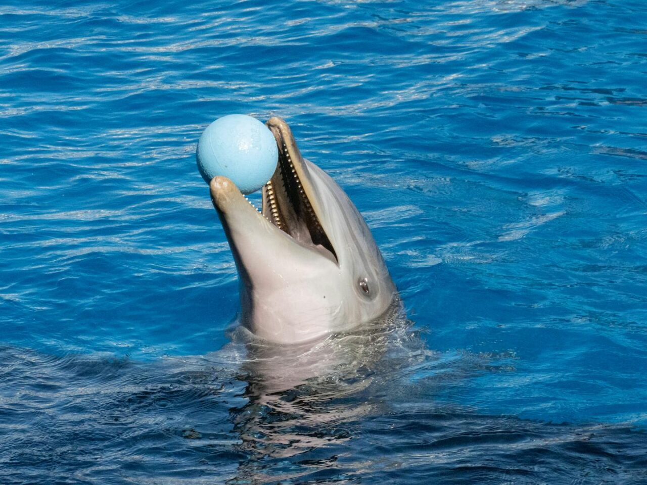 16 найкращих речей, які можна зробити в Ополє - 2025 - TryTravel