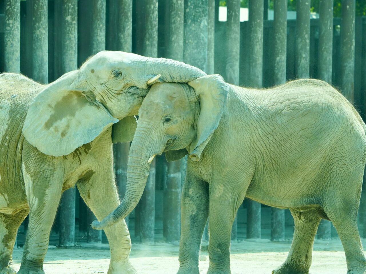 Les 16 meilleures choses à faire à Opole - 2025 - TryTravel