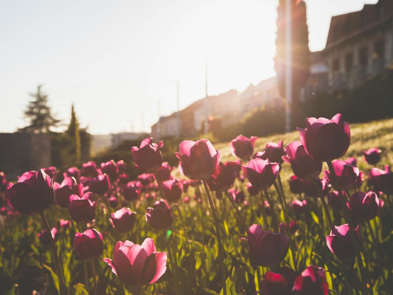 Les 11 meilleures choses à faire à Pecs - 2025 - TryTravel