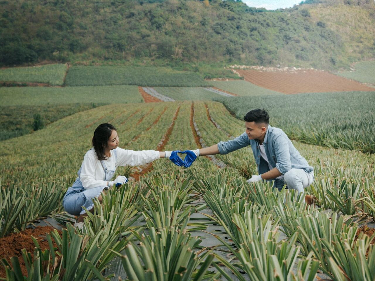 The 9 Best Things to Do in Birkenhead - 2025 - TryTravel