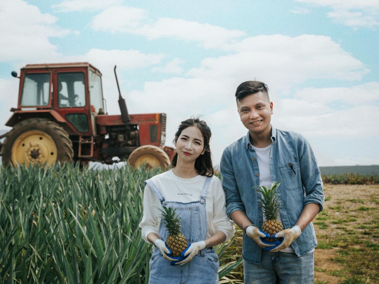 The 9 Best Things to Do in Birkenhead - 2025 - TryTravel