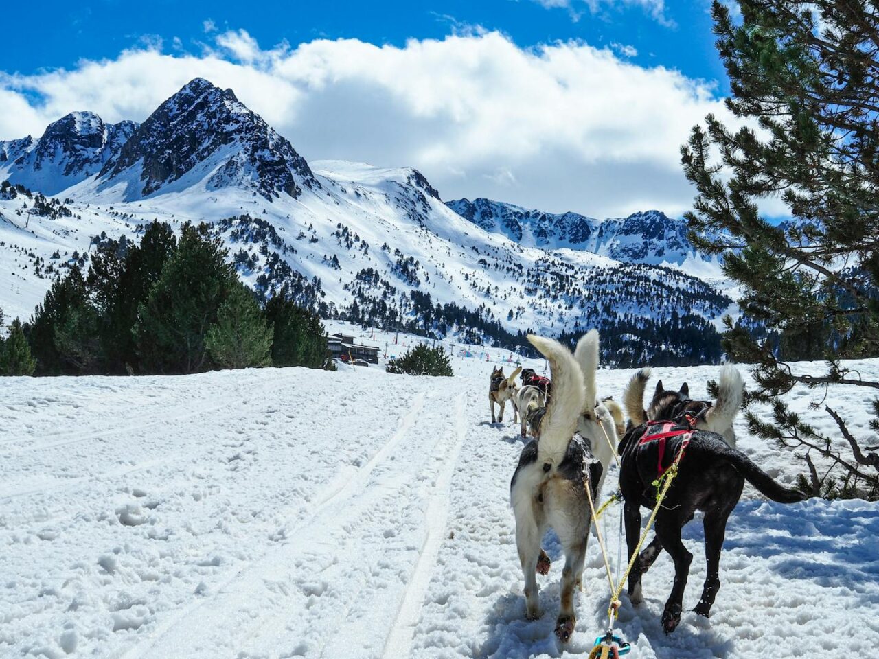 Die 6 besten Dinge, die man in Watford tun kann - 2025 - TryTravel