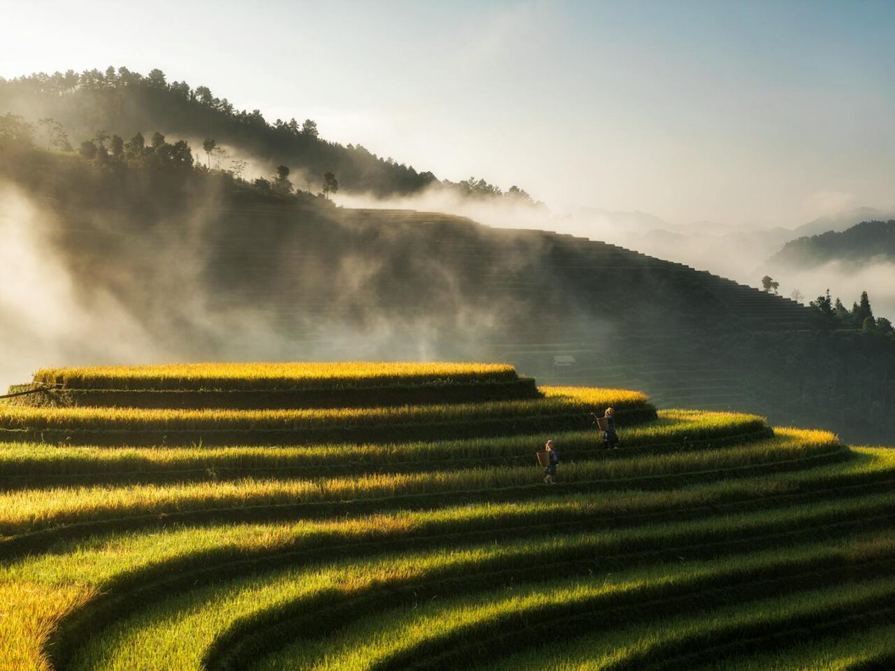 The 9 Best Things to Do in Blackburn - 2025 - TryTravel