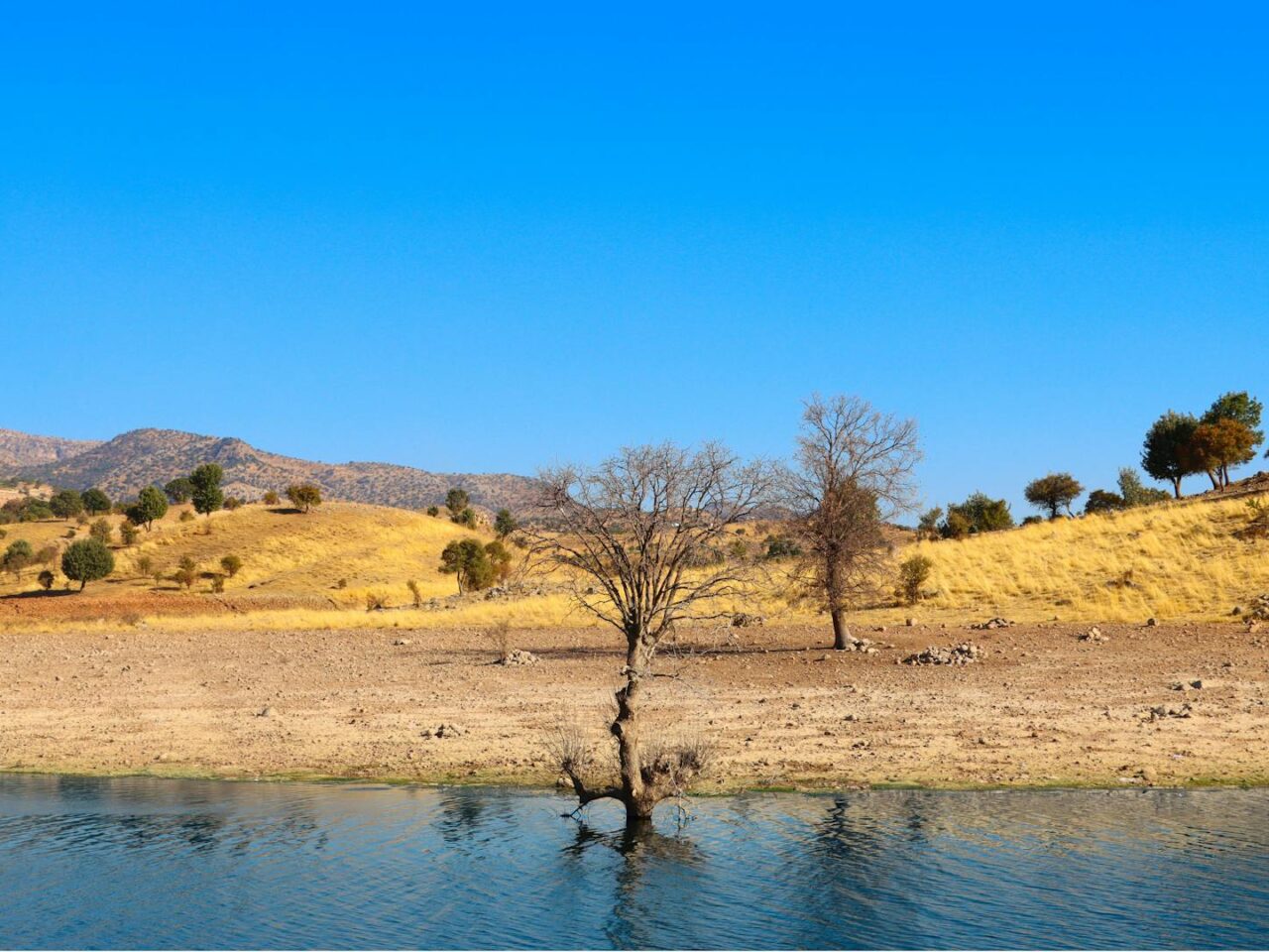 The 9 Best Things to Do in Blackburn - 2025 - TryTravel