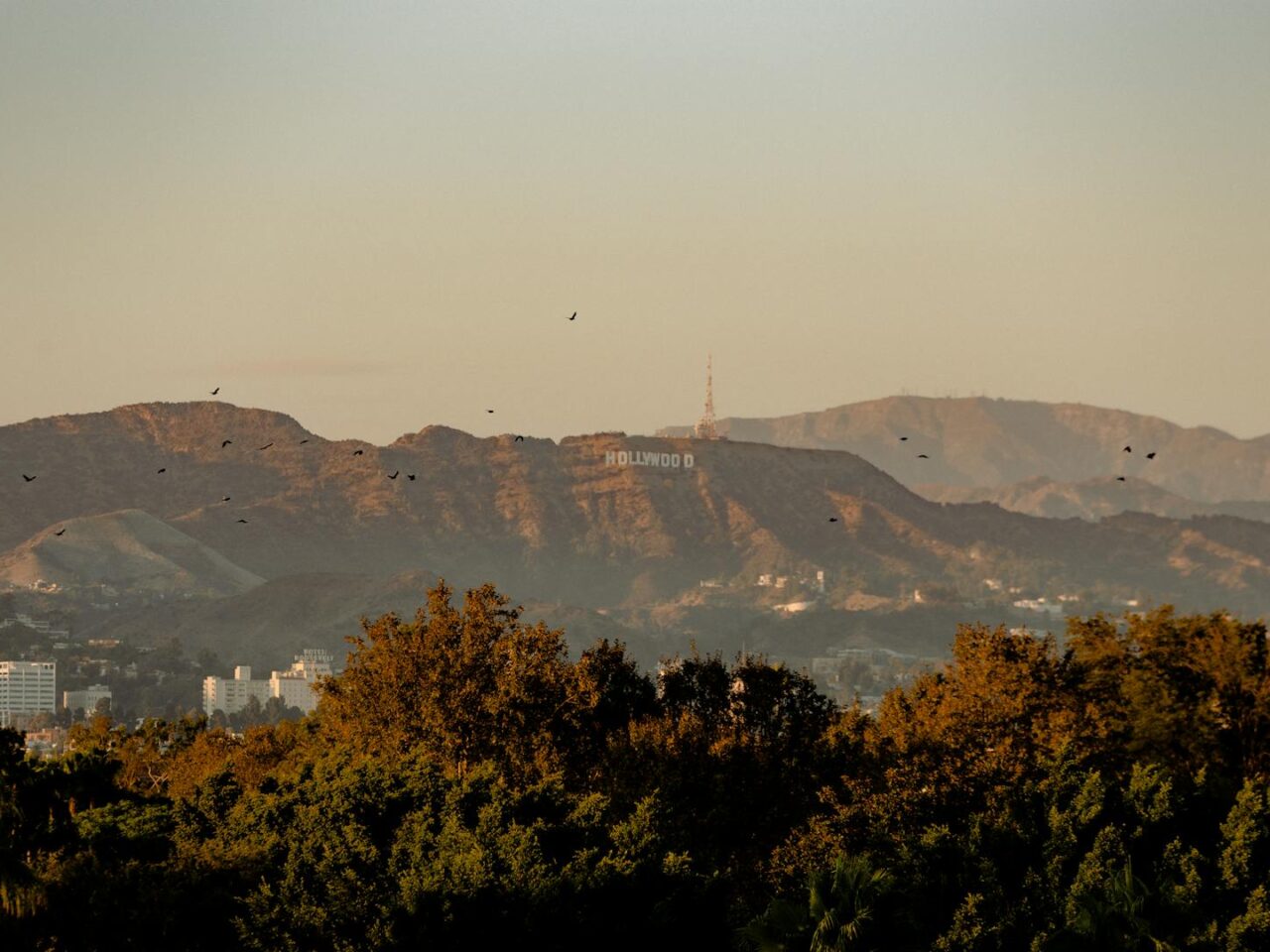 The 4 Best Things to Do in Scunthorpe - 2025 - TryTravel