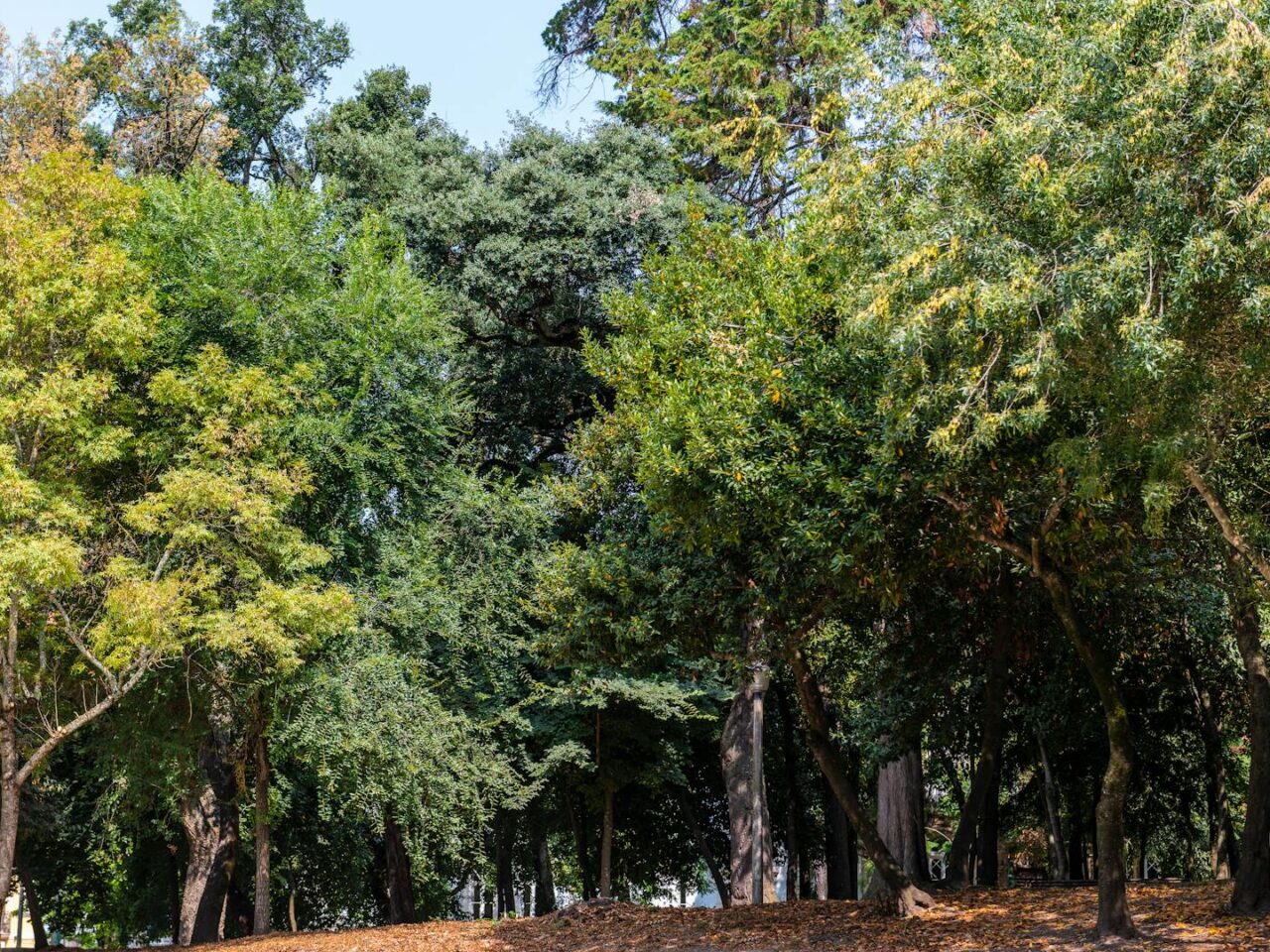 The 16 Best Things to Do in Parla - 2025 - TryTravel