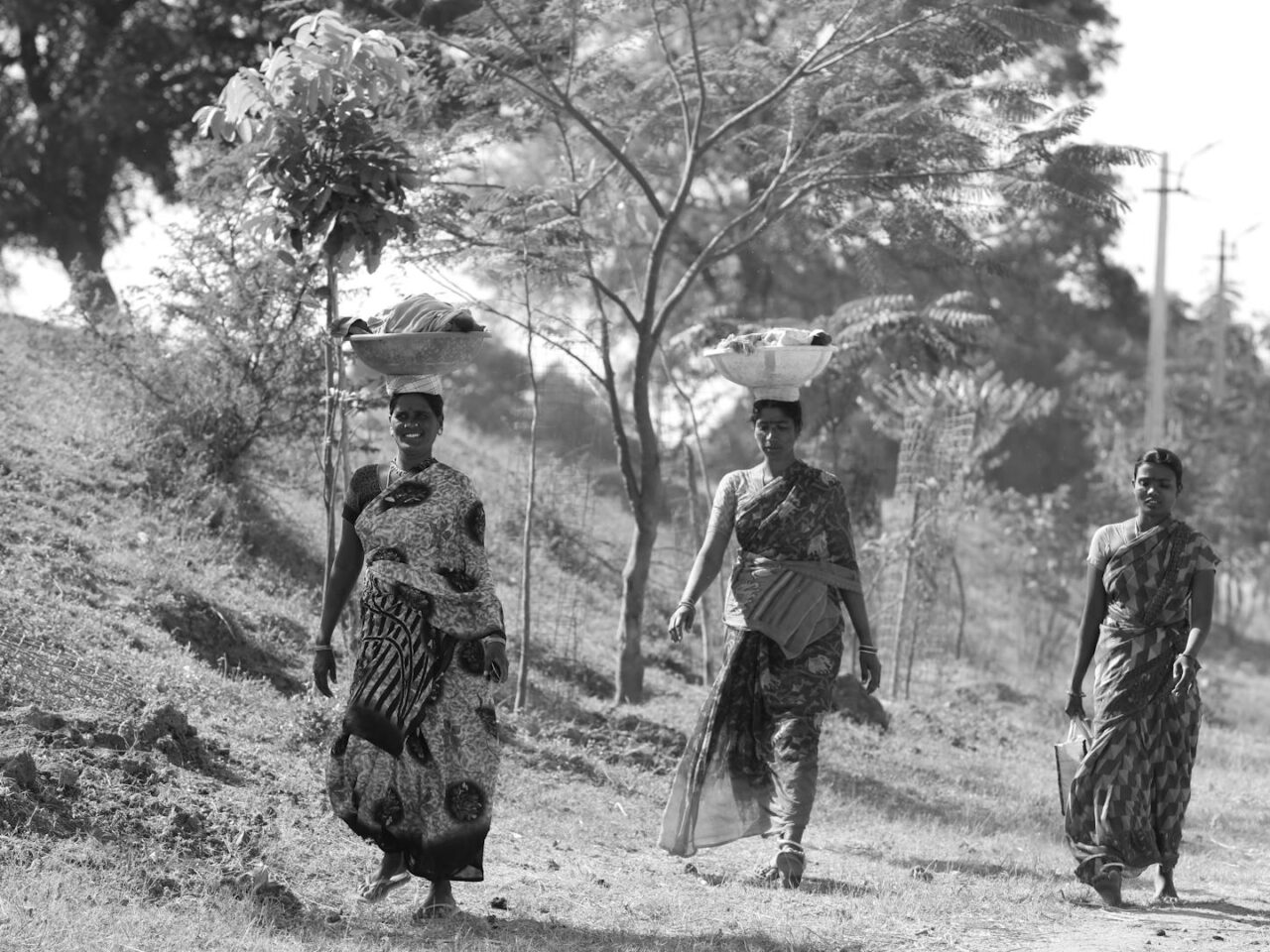 The 10 Best Things to Do in Târgu Mureș - 2025 - TryTravel