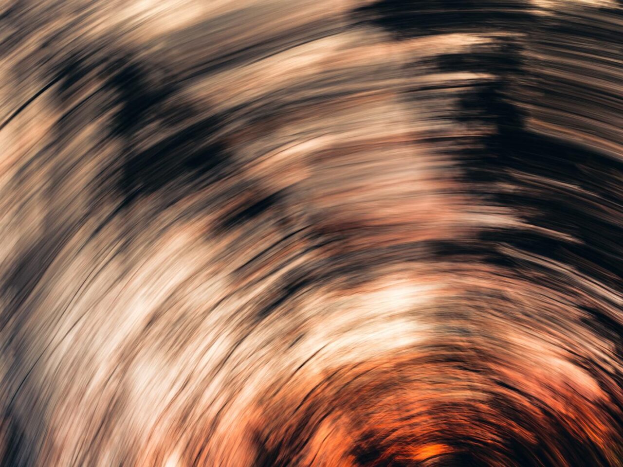 The 13 Best Things to Do in Liberec - 2025 - TryTravel