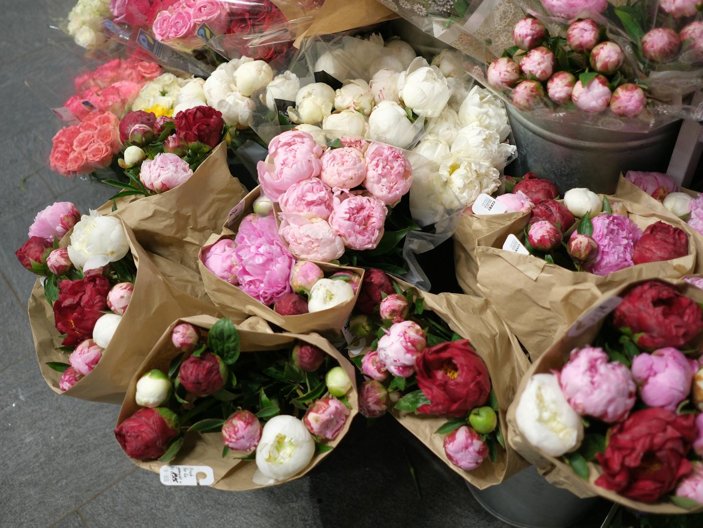 The 13 Best Things to Do in Liberec - 2025 - TryTravel