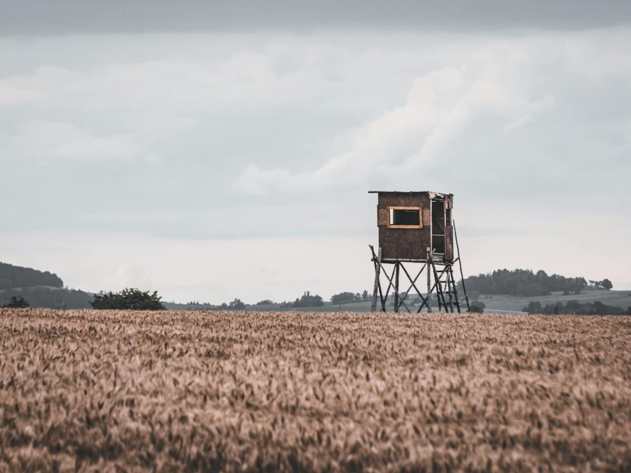 Die 13 besten Dinge, die man in Liberec tun kann - 2025 - TryTravel